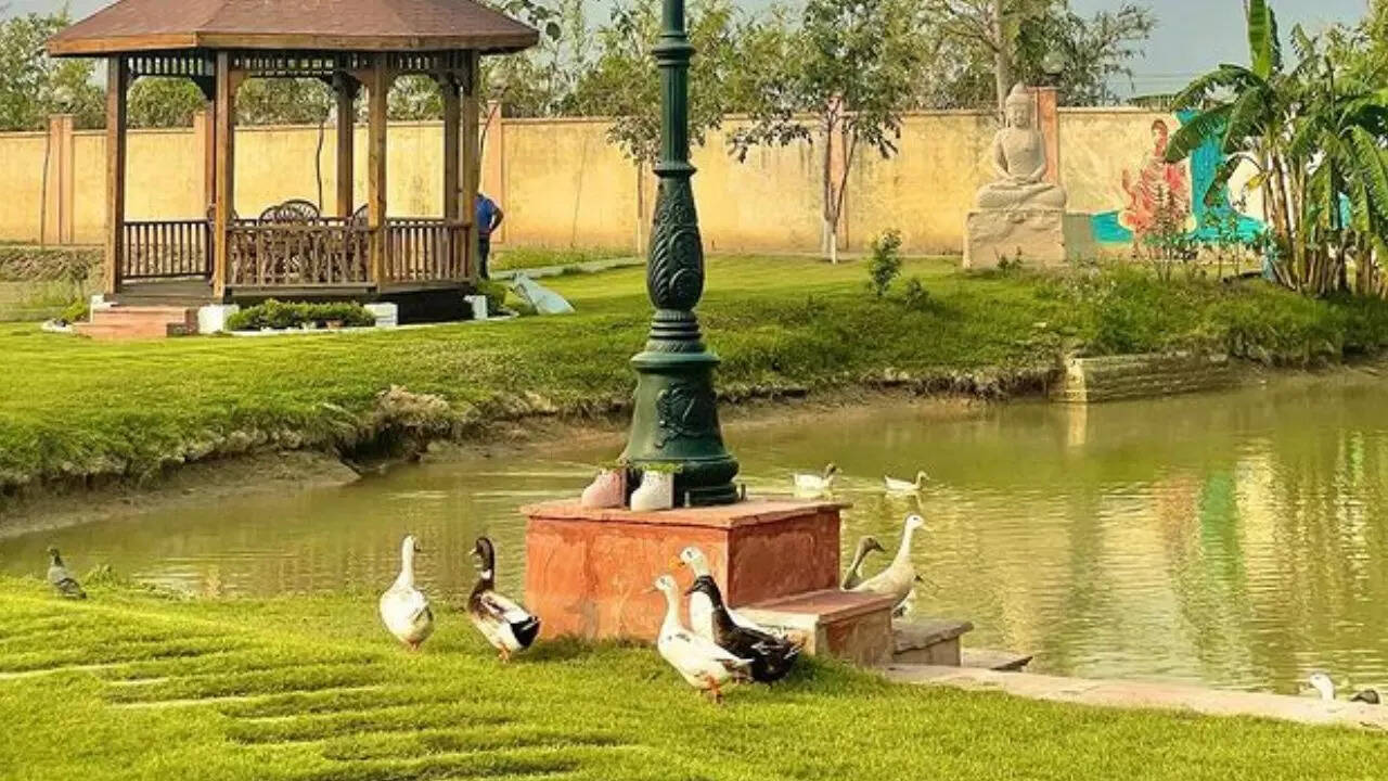 Kumar Vishwas Luxurious House in Hometown: Kumar Vishwas Luxurious House, Kumar Vishwas House