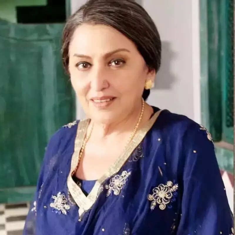 Heeramandi में निखरकर सामने आए ये TV सितारे, धाकड़ एक्टिंग के आगे पानी ...