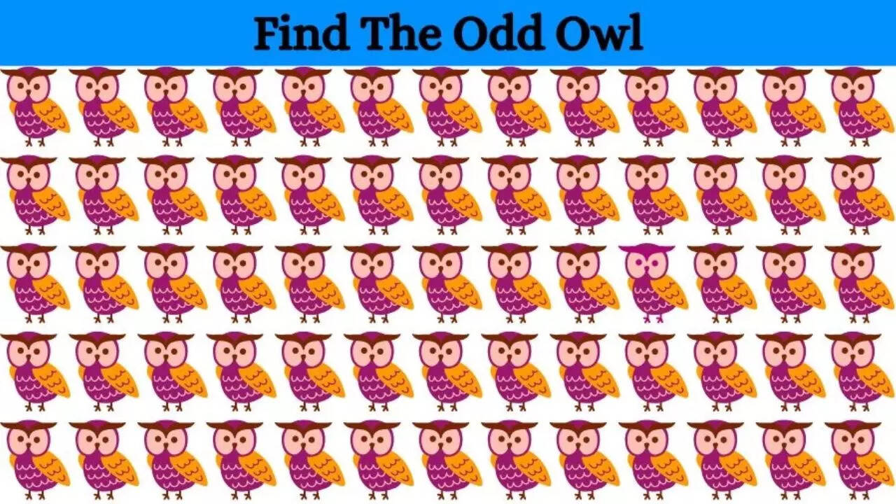 Photos: उल्लुओं के झुण्ड में बैठा है एक पड़ोसी मुल्क का उल्लू, ढूंढने ...