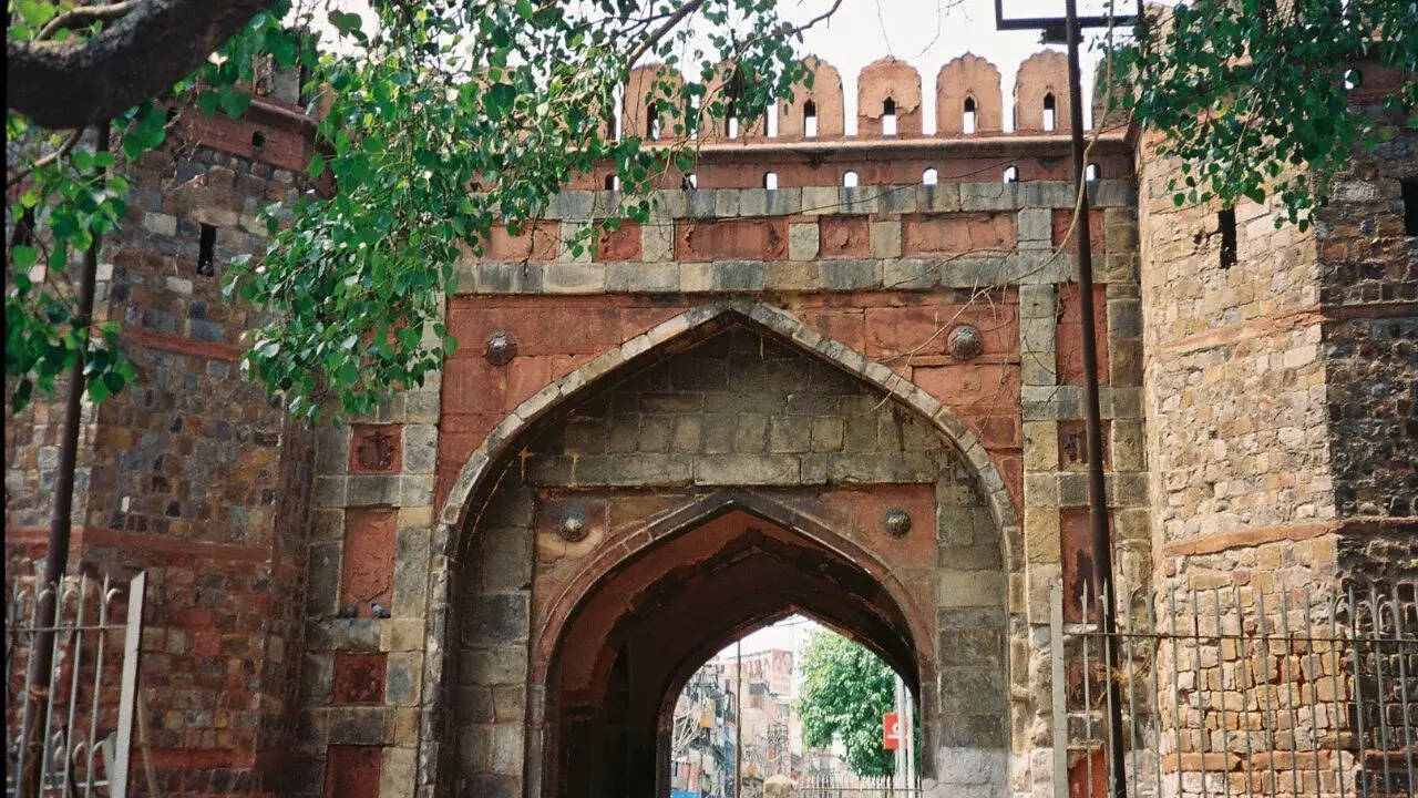 इस Delhi Gate को देखने के लिए पड़ती है Passport और Visa की जरूरत ...