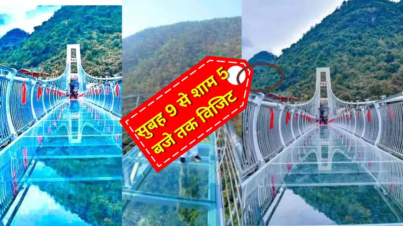 Rajgir Glass Bridge in Bihar Attracts Tourists Know Timing and Ticket ...