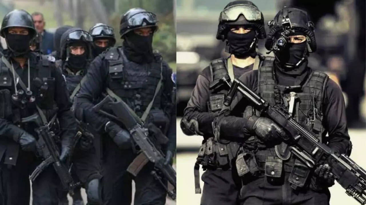 What Is The Salary Of Z+ Security Know Z Plus Salary Per Month- कितनी ...