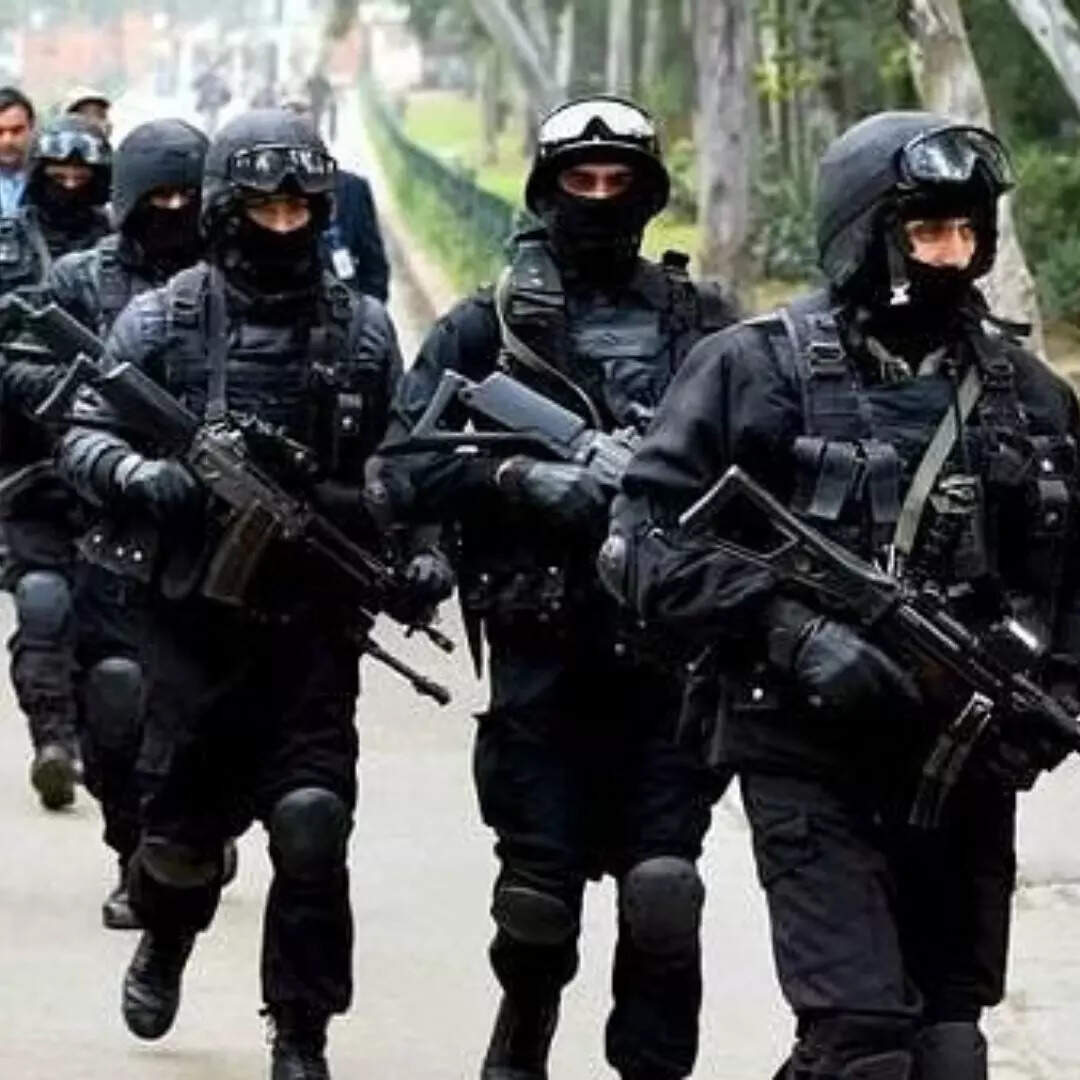 What Is The NSG SPG Commando Retirement Age Know NSG And SPG Commando ...