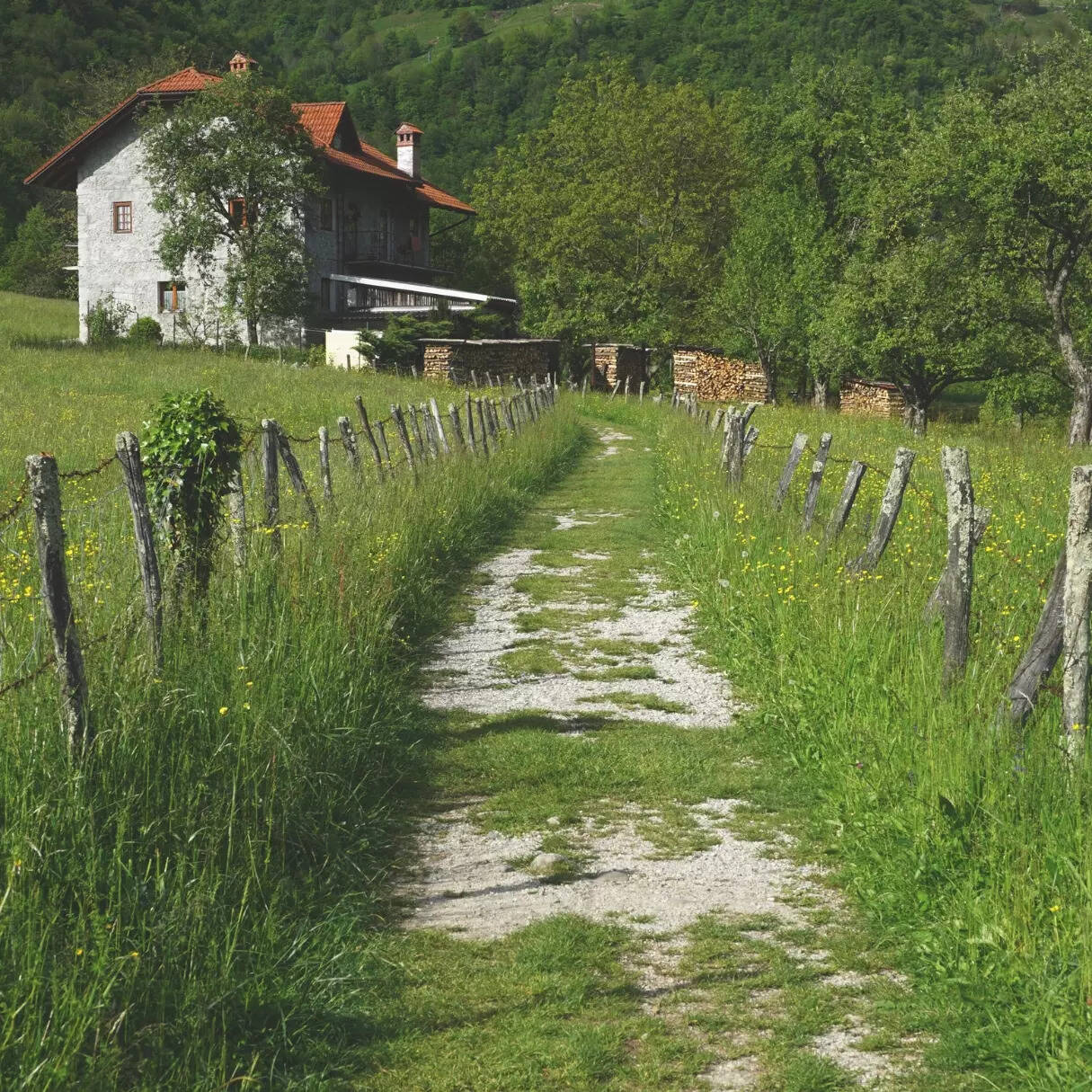 घूम आओ करण औजला के गांव, जहां आज भी बसी हैं उनकी यादें, खूबसूरती के ...
