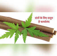 Benefits of using Datun stick for teeth - ओरल हेल्थ के लिए बेस्ट है ...