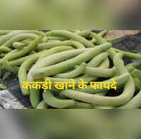 Health Benefits of eating kakdi in summer, garmiyon mein kakdi khane ke ...