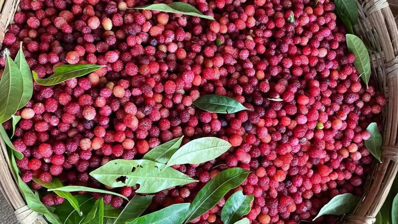 health benefits of uttarakhand fruit kafal in many diseases know price