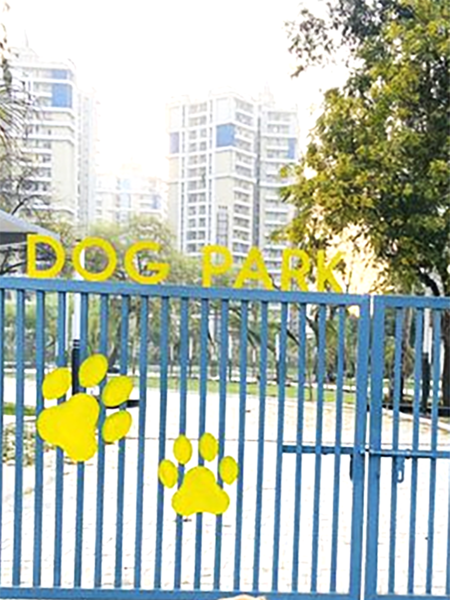 कुत्तों के लिए स्वीमिंग पूल, कैंटीन की सुविधा, रेडी है Dog Park | Times ...