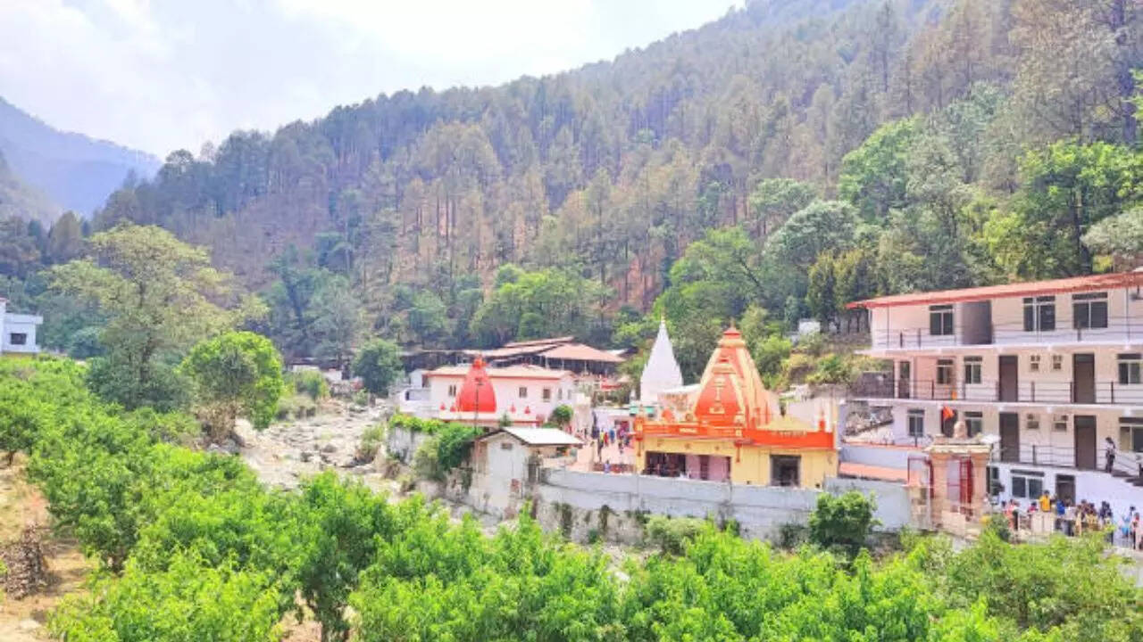 Kainchi Dham Mela: Neem Karoli Baba Kainchi Dham Mela 59th foundation ...