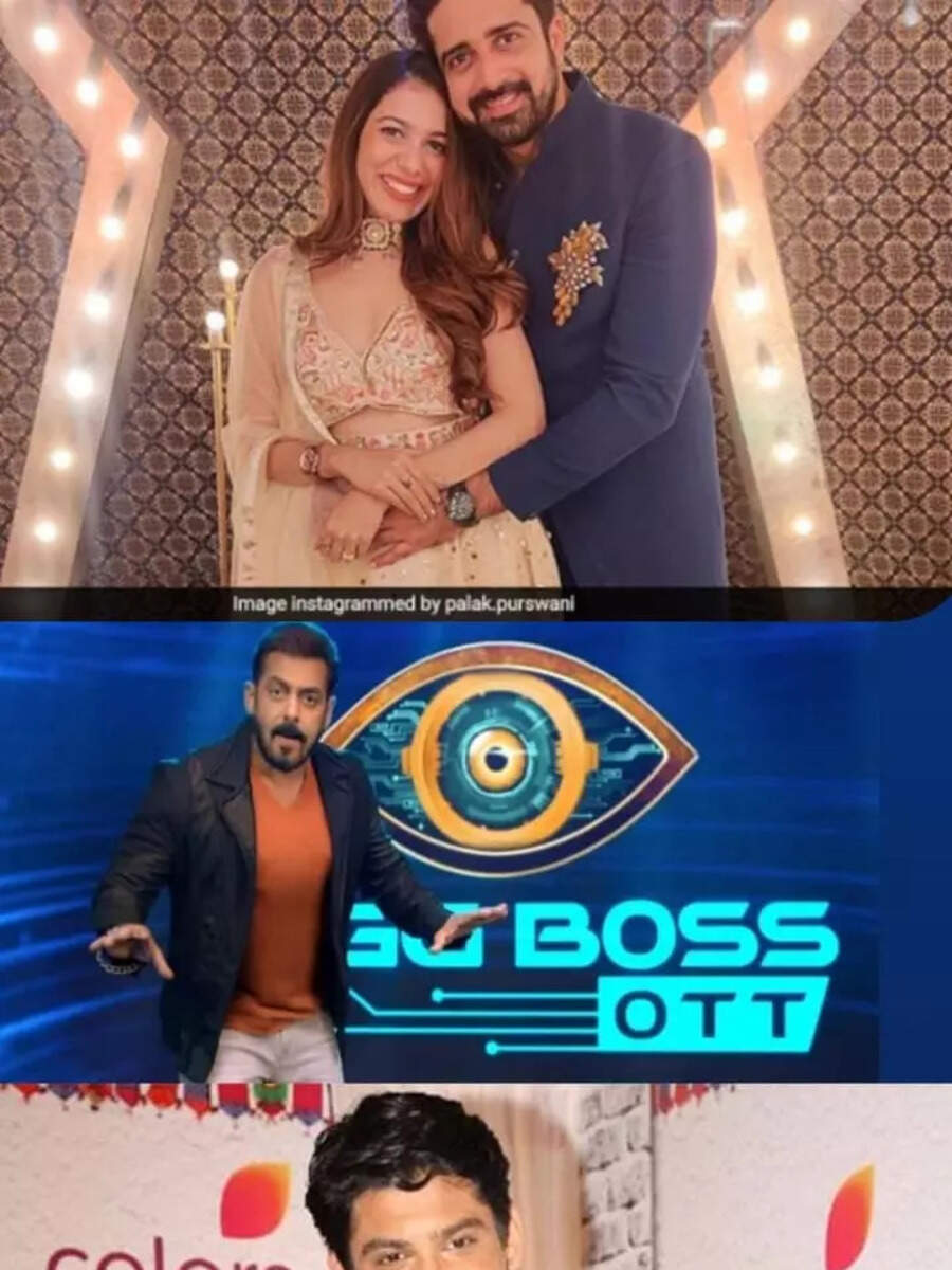 Bigg Boss के सेट पर कुत्ते बिल्लियों की तरह लड़ चुके हैं ये एक्स लवर्स ...