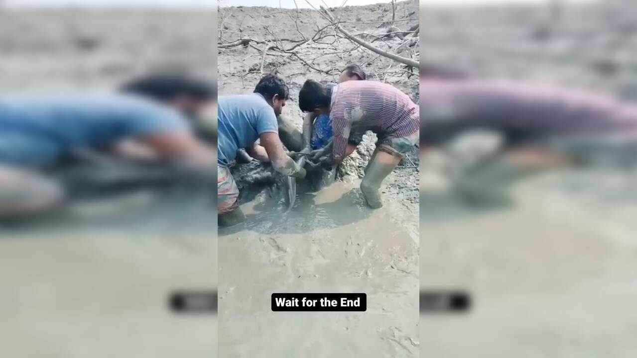 viral video fish attacked on private part of man horrific video goes ...