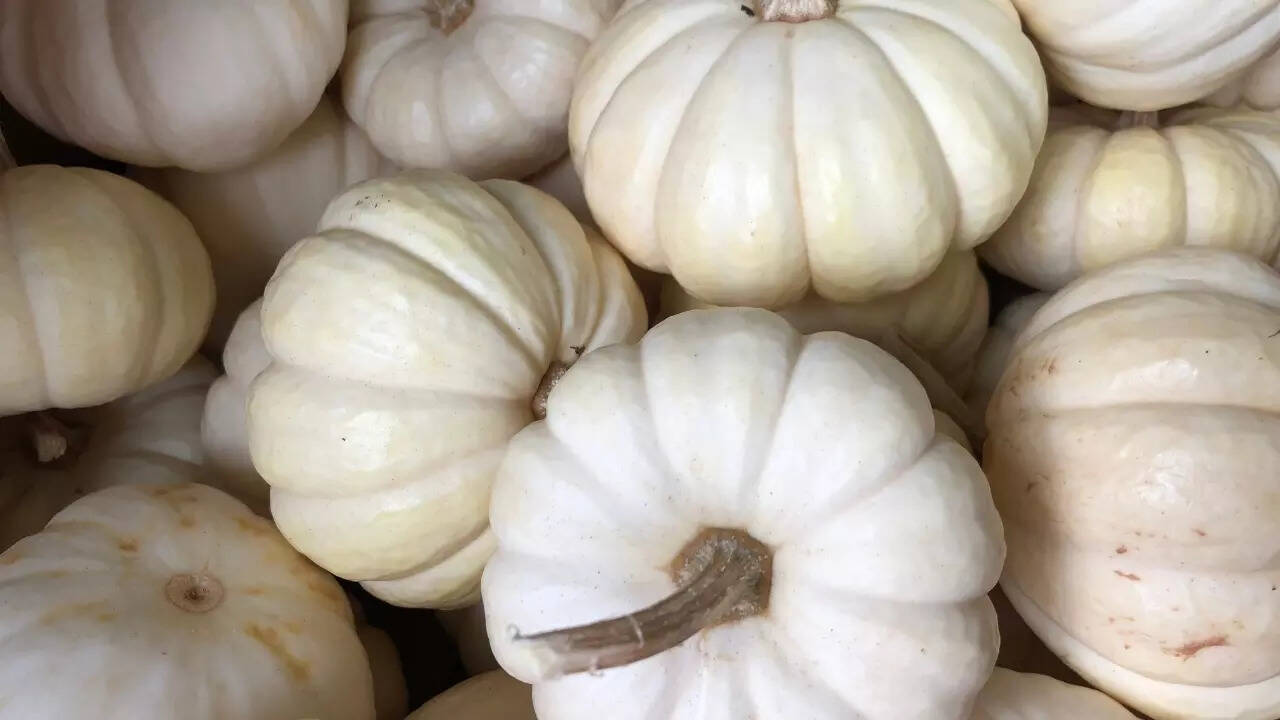 white pumpkin is beneficial lower ldl cholesterol know safed kaddu ke ...