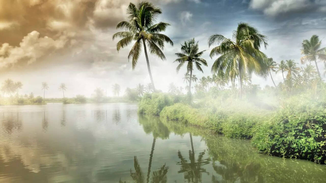 IRCTC Kerala Air Tour Package, Kochi, Kumarakom, Munnar, Thekkady ...