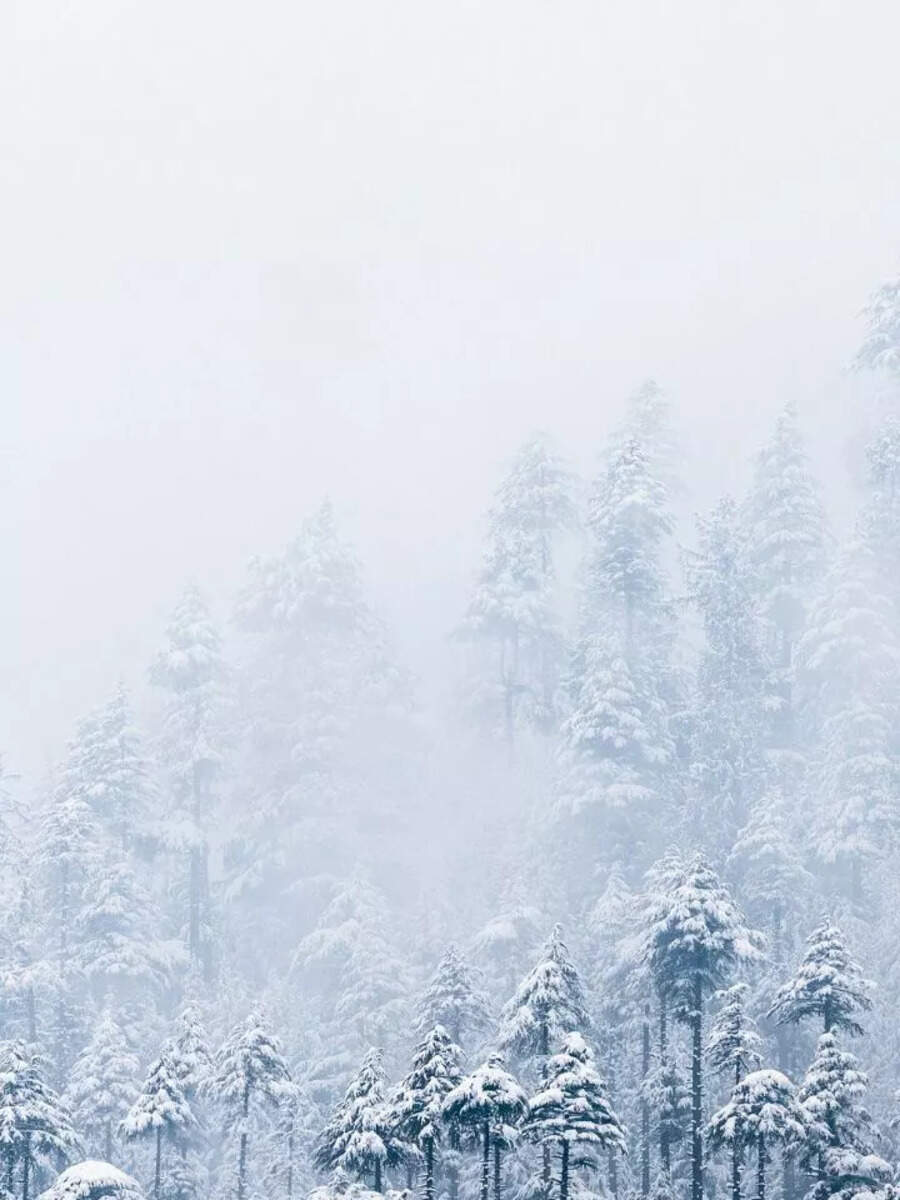 Best Snowfall Places in India | Times Now Navbharat