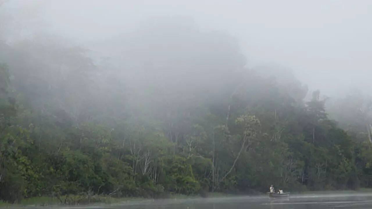 Hotter, more humid areas are the origins of life on Earth - पृथ्वी पर ...