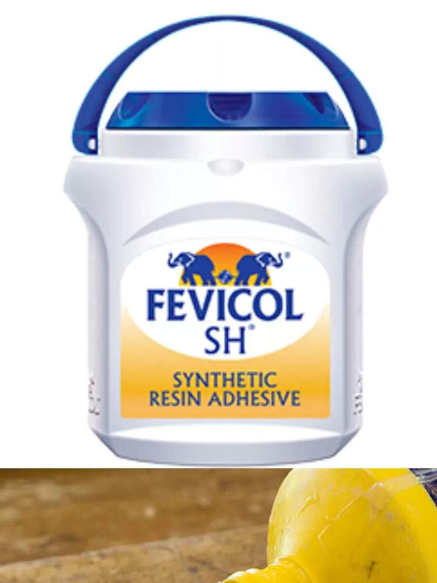 Fevicol is a brand do you know the name of the company that ...