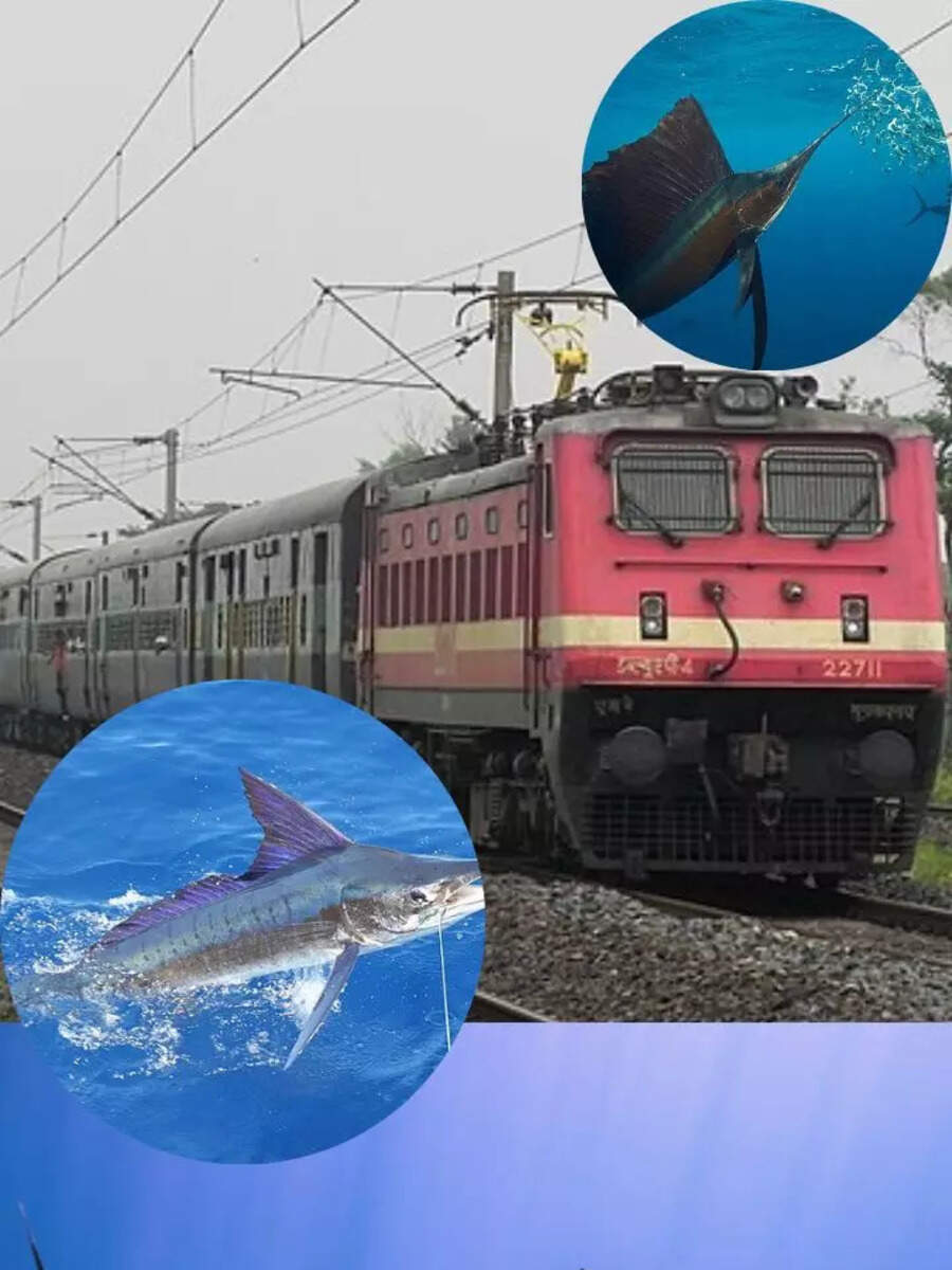 इतनी स्पीड से तैरती है यह मछली कि सुपरफास्ट ट्रेन के भी छूट जाएंगे ...