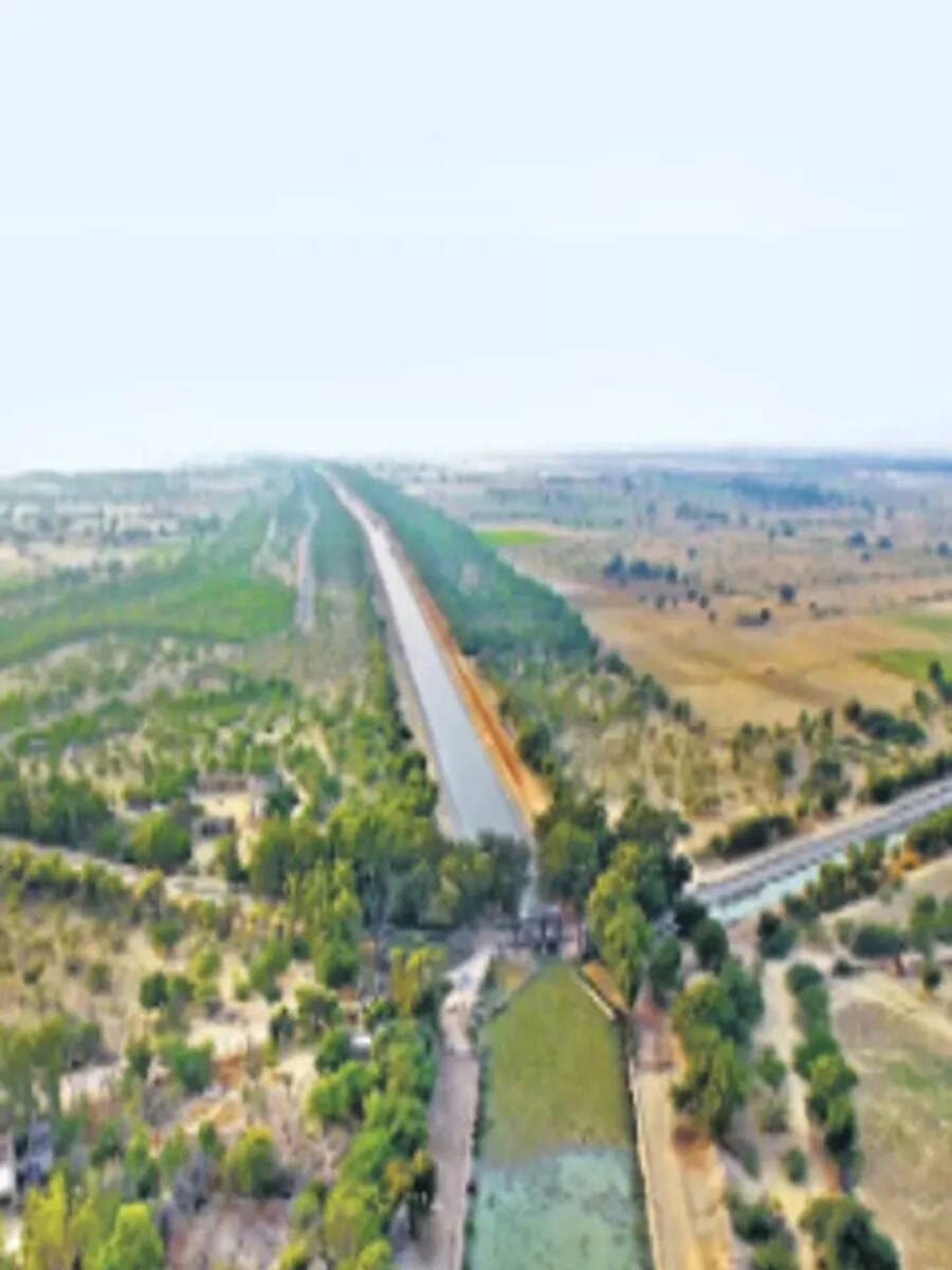 India longest canal Indira Gandhi Know All About it | Times Now Navbharat