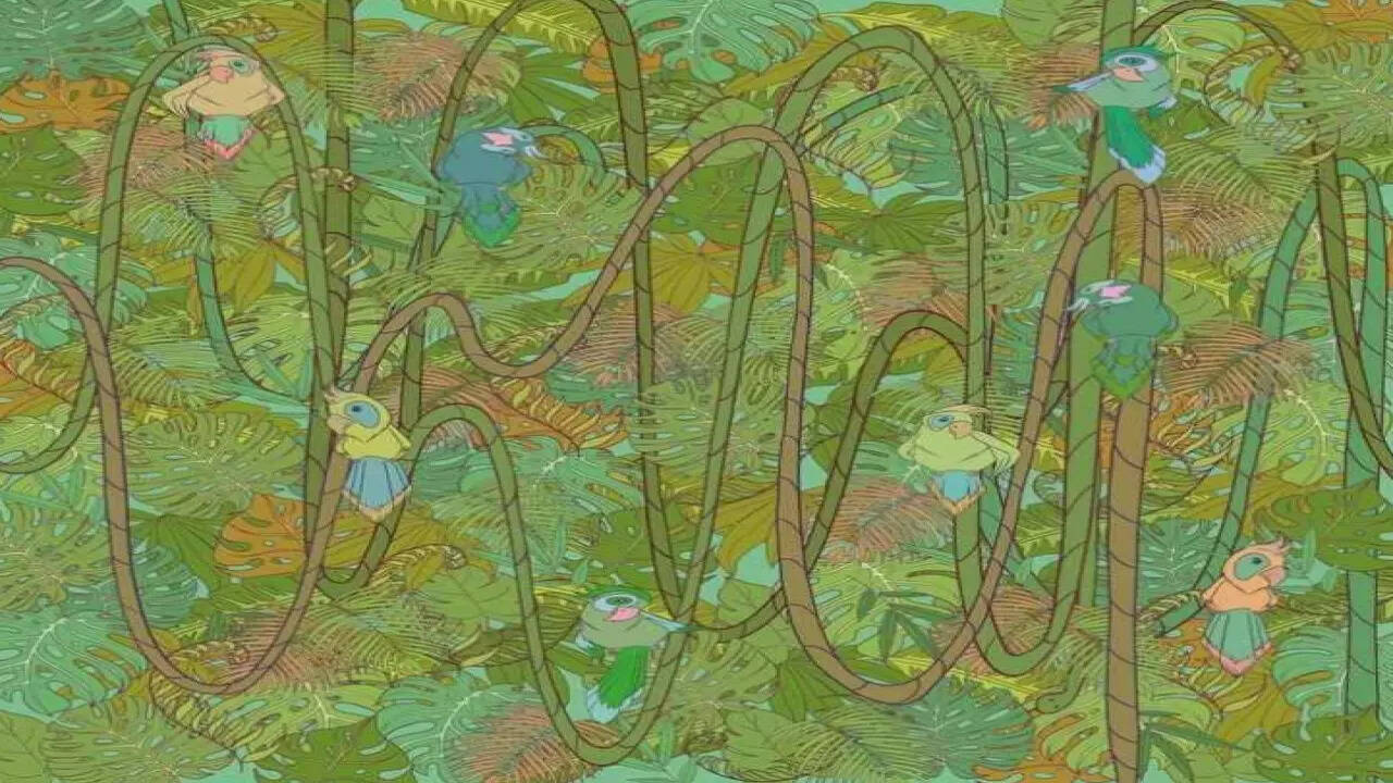 Optical Illusion Only two per cent people Can Spot Hidden Snake Picture ...