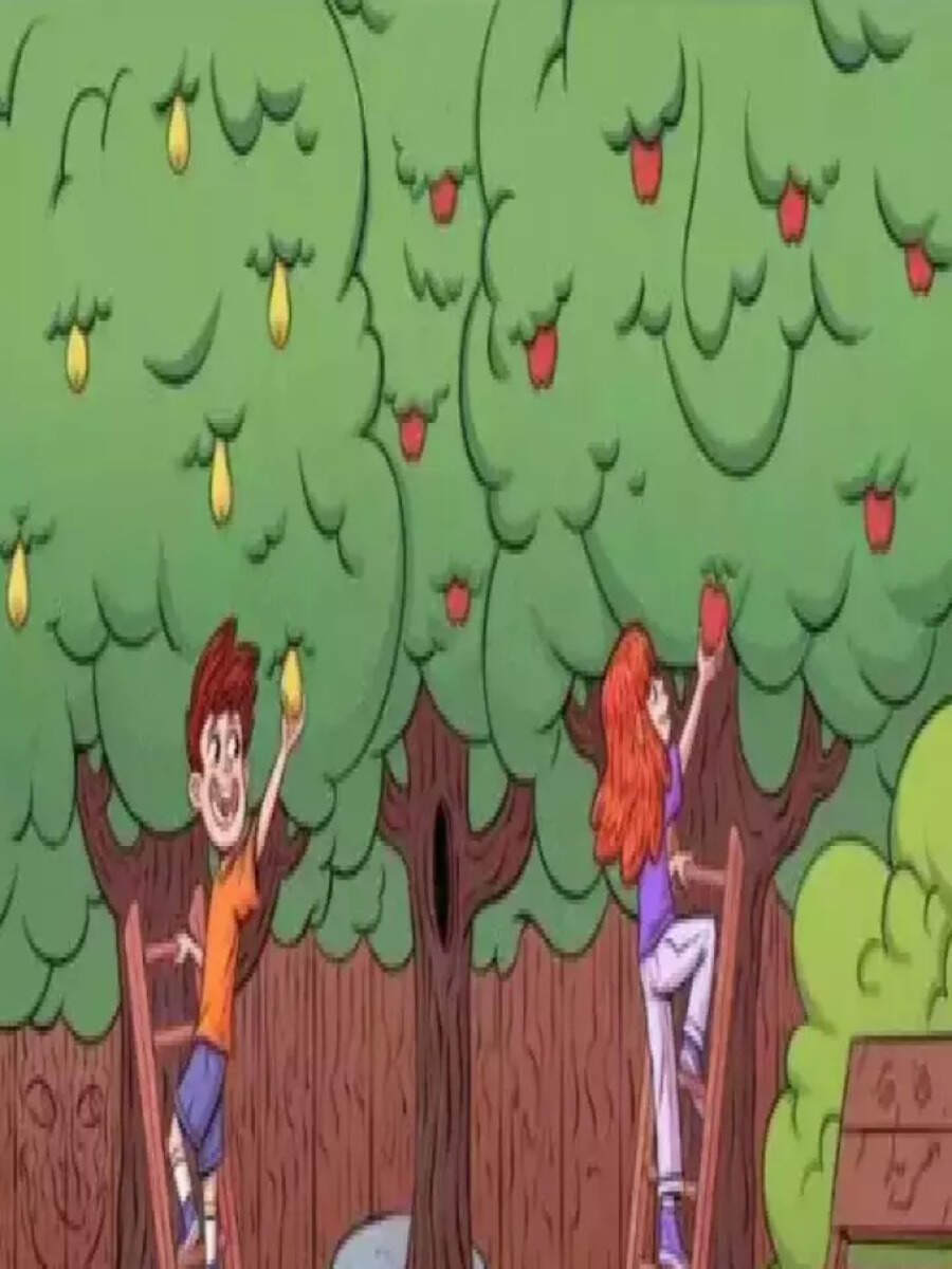 Optical Illusion Brain Test Quiz Viral Quiz: If you Have Clever Mind ...