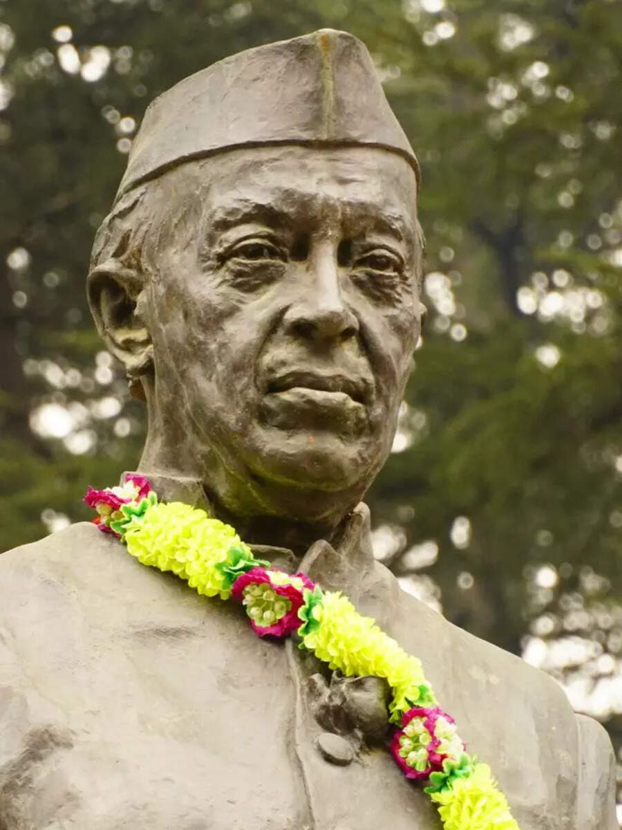 Pandit Jawaharlal Nehru Liked Rose Flower Very Much | Times Now Navbharat