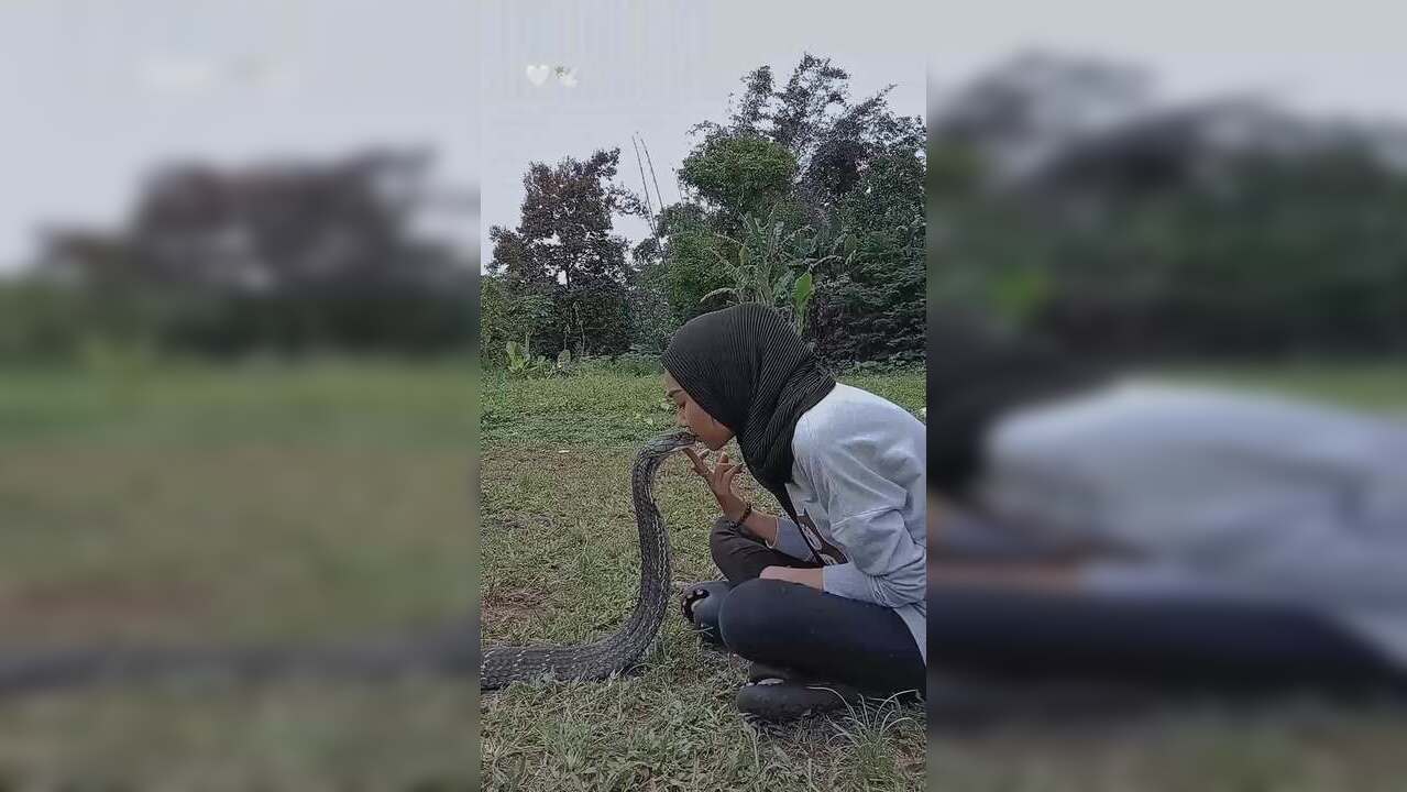 Girl kiss to Snake Then What Happened Watch Shocking Viral Video | Times Now Navbharat