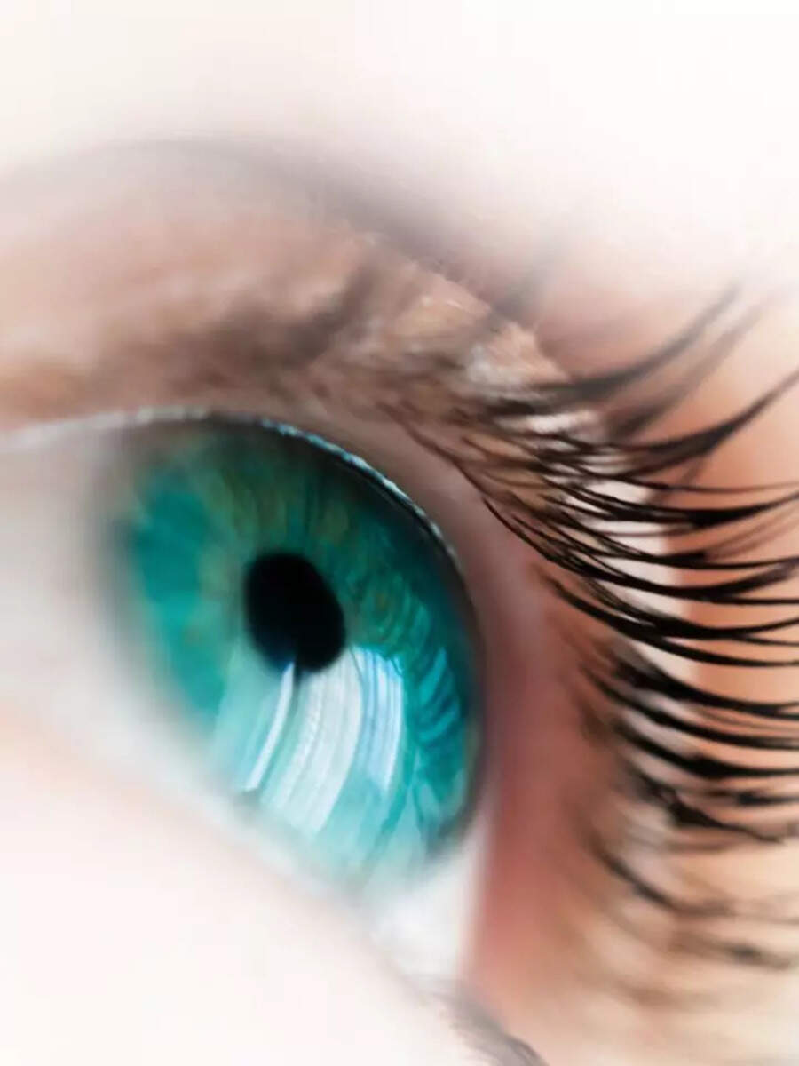 How Many Megapixels Does a Human Eye Have? How much is 576 megapixels ...