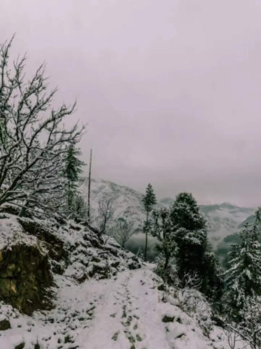 Himachal Pradesh Snow Places: Showfall in Manali, Snowfall in Shimla ...