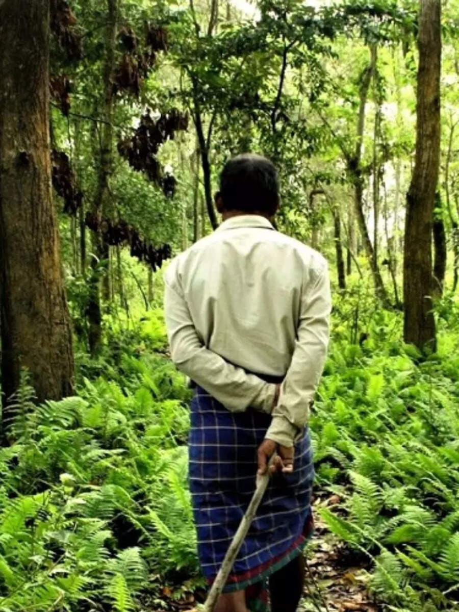 Forest Man of India was planting trees in assam jungle for 43 years ...