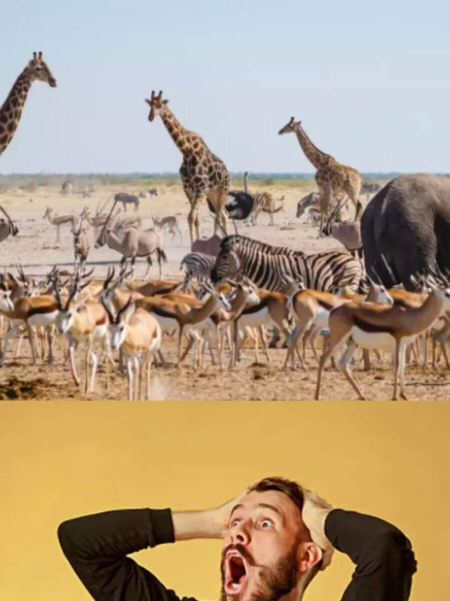 Which is The National Animal of Iran know Here answer ईरान का राष्ट्रीय ...