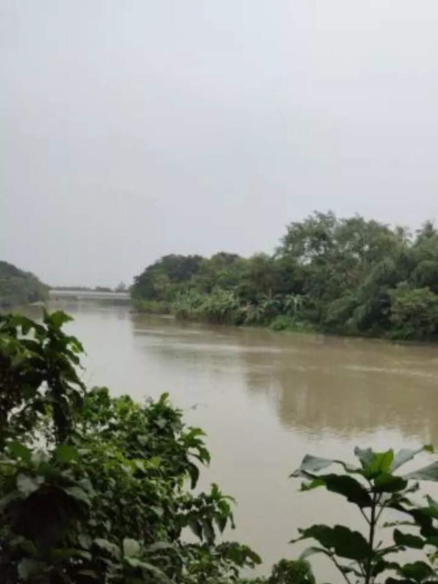 Know Here Jamui Hot River Facts And Relation With Pandavas Of Mahabharata | Times Now Navbharat