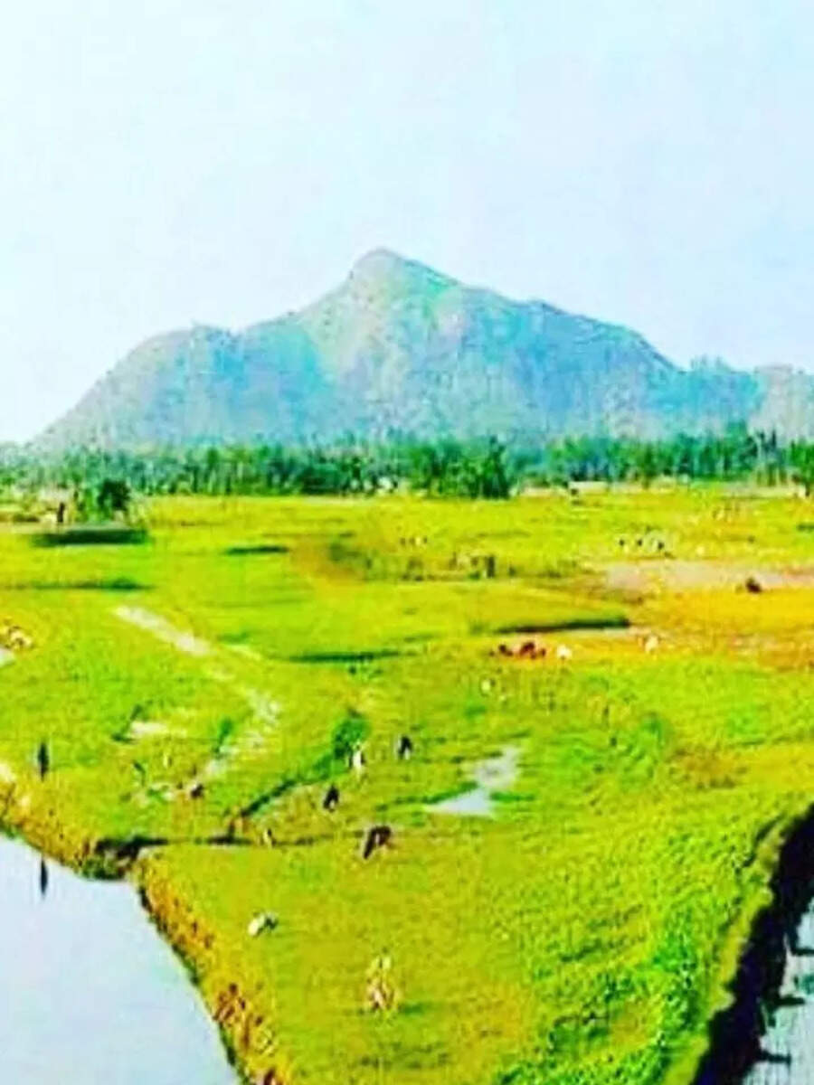 इस शहर में जमीन पर दिखता है भारत का नक्शा, यहां होता है इन दों नदियों ...