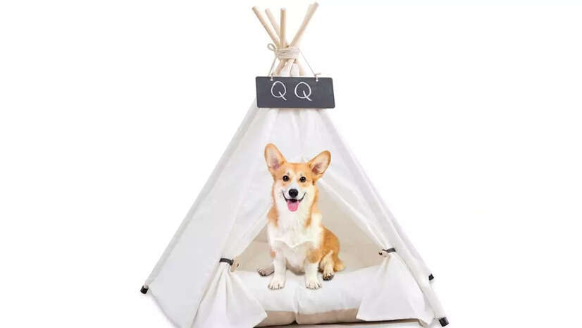 Best Dog Houses in India to Accommodate Your Furry Friend