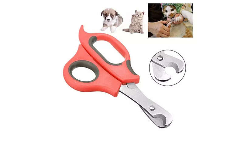 7 Best Dog Nail Cutters & Clippers For The Grooming