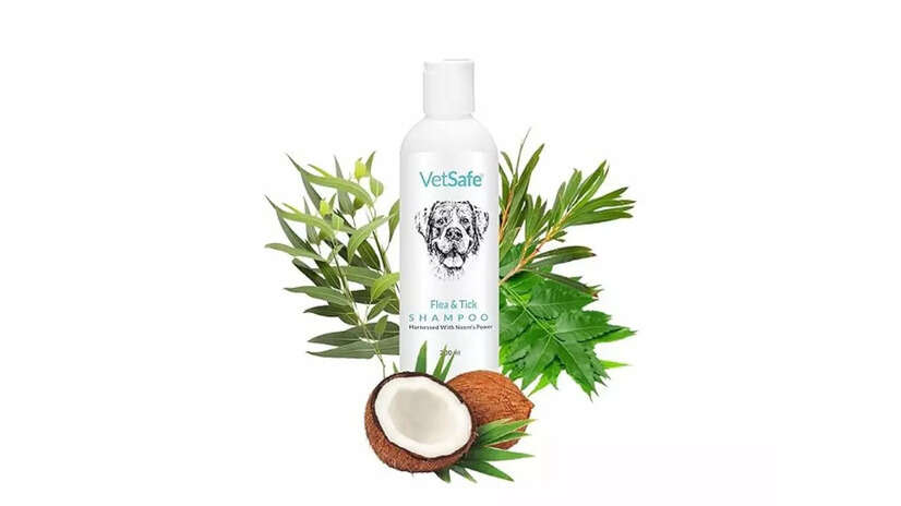 Say goodbye to ticks with these best tick shampoos for dogs