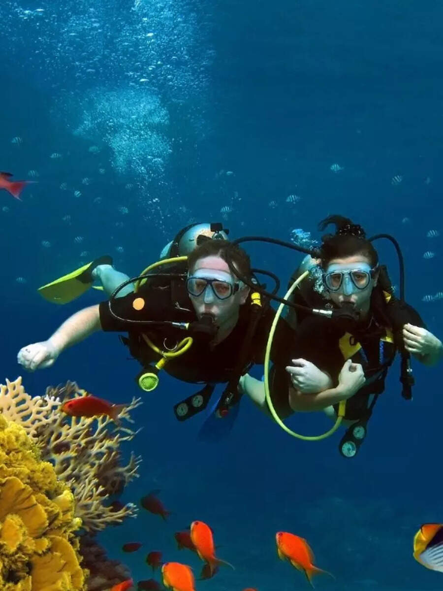 Best Places to Enjoy Scuba Diving in India See List Here | Times Now ...