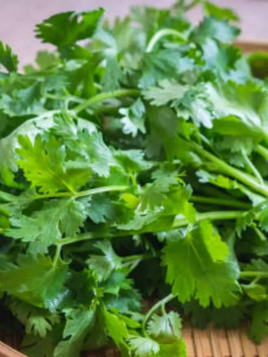 How to keep coriander or dhaniya leaves fresh for long - बदलें फ्रिज ...