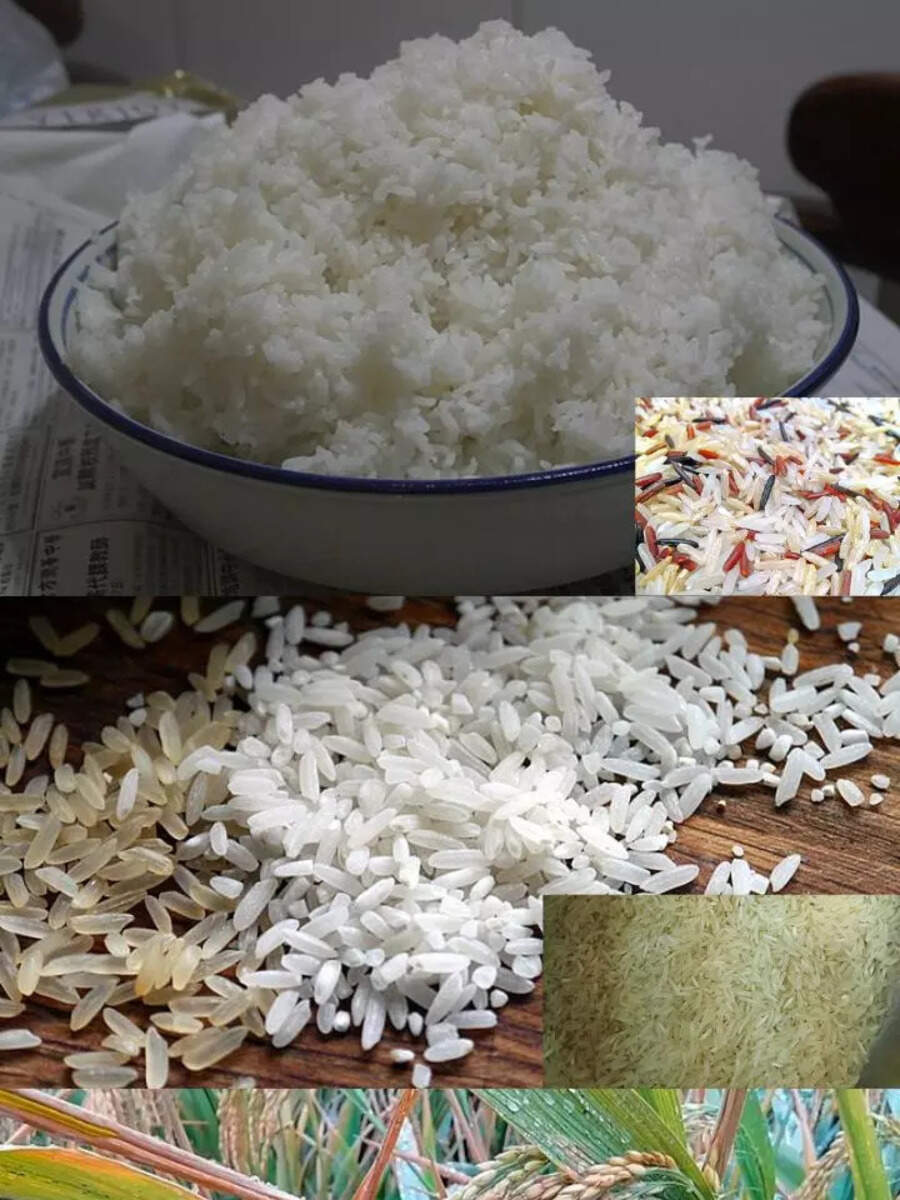 People Of These Ten Countries Eat Most Milled Rice, Which Is Number One ...