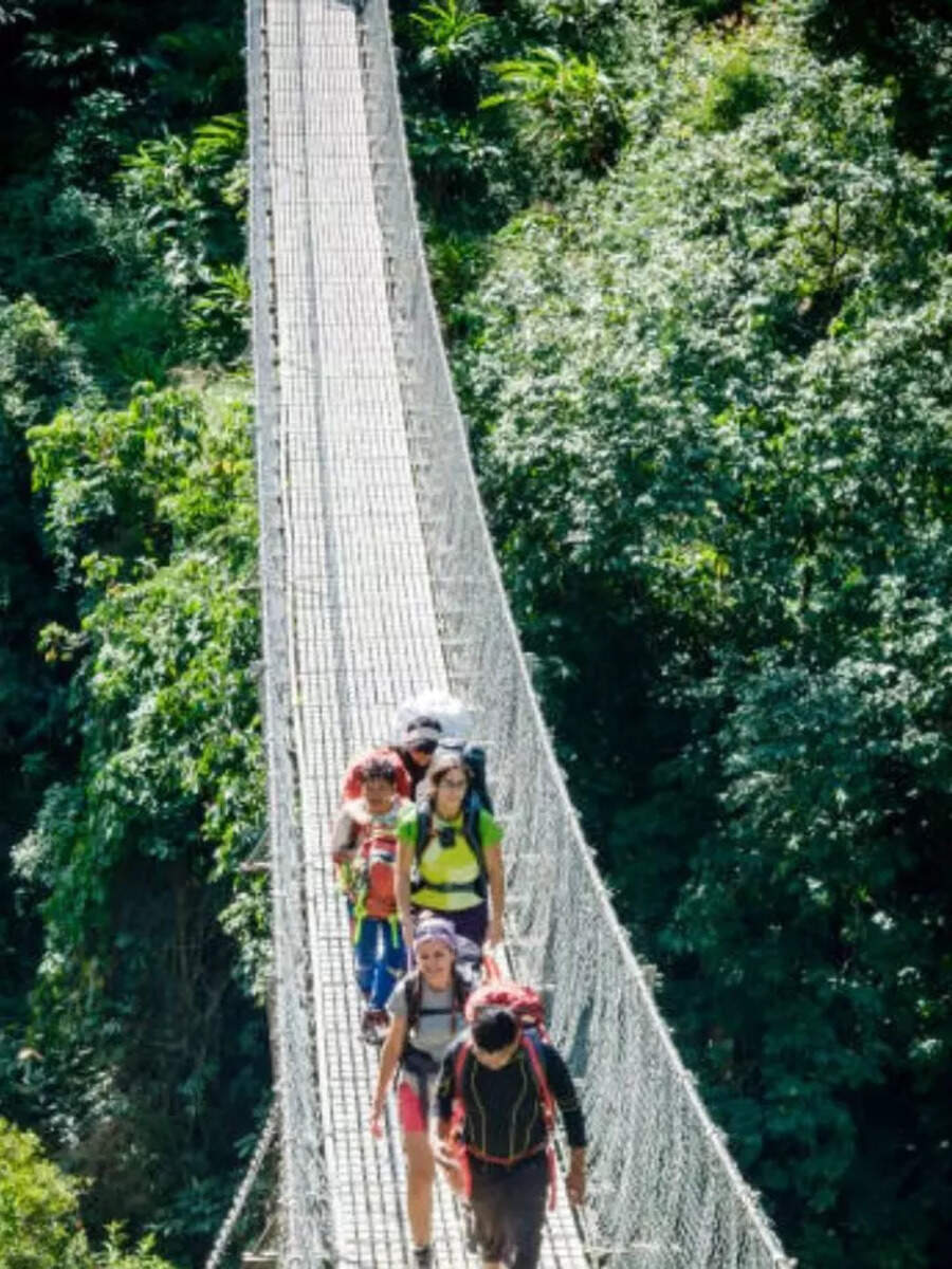 Know 5 Shortest International Borders in World | Times Now Navbharat