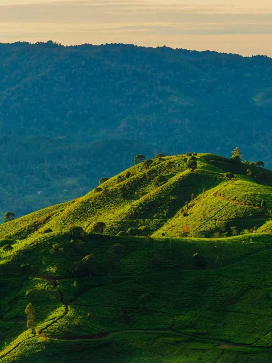 Rayta Hills Udaipur has Name on Indian Dish Know Facts Here | Times Now ...