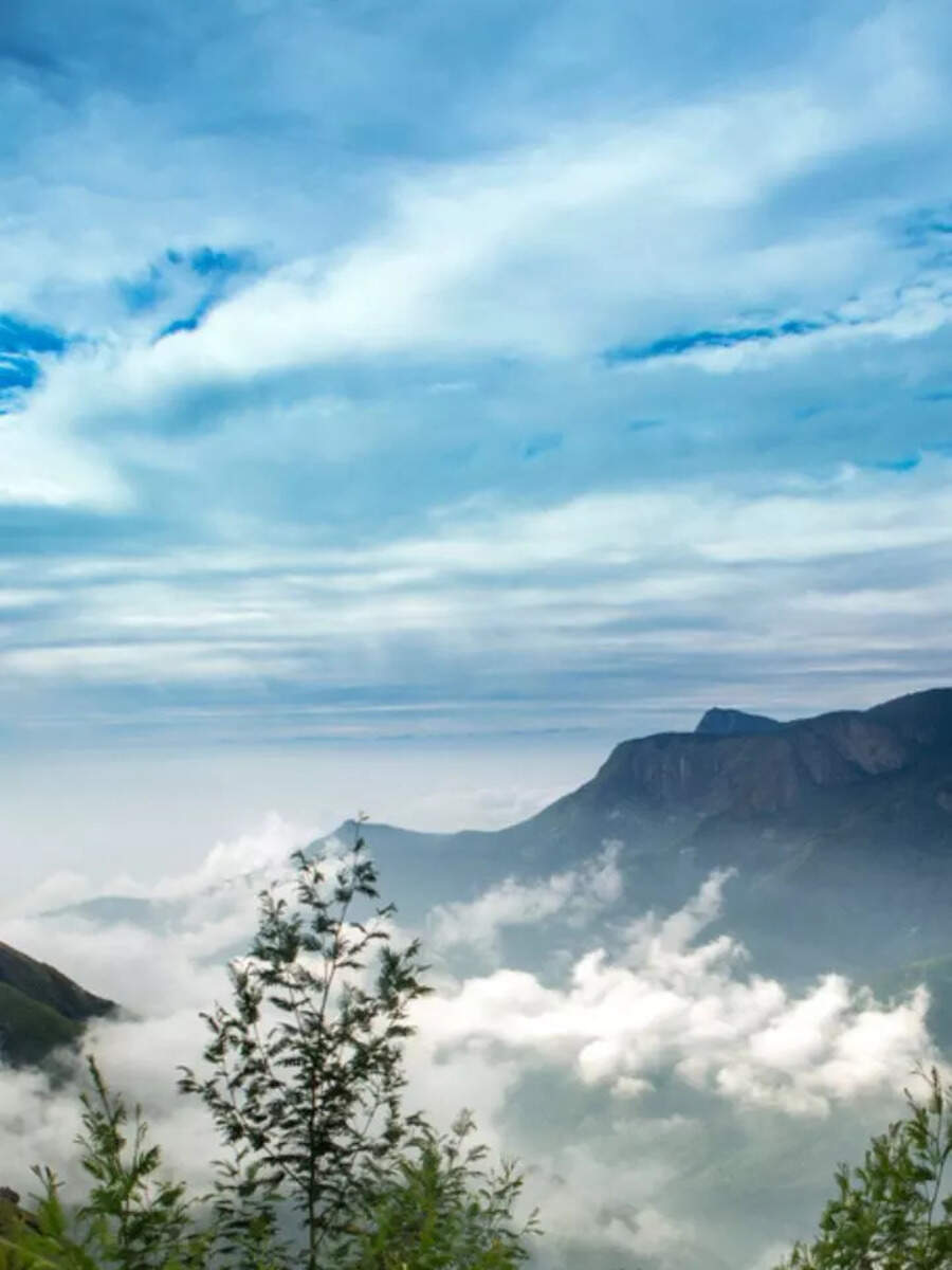 Tamia Hill Station Chhindwara is Manali of Madhya Pradesh | Times Now ...