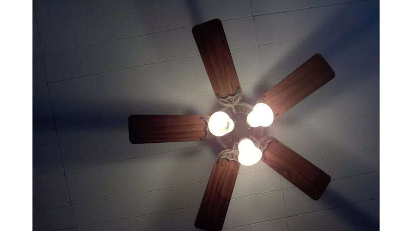 6 Best Ceiling Fans With Lights to Revamp Your House