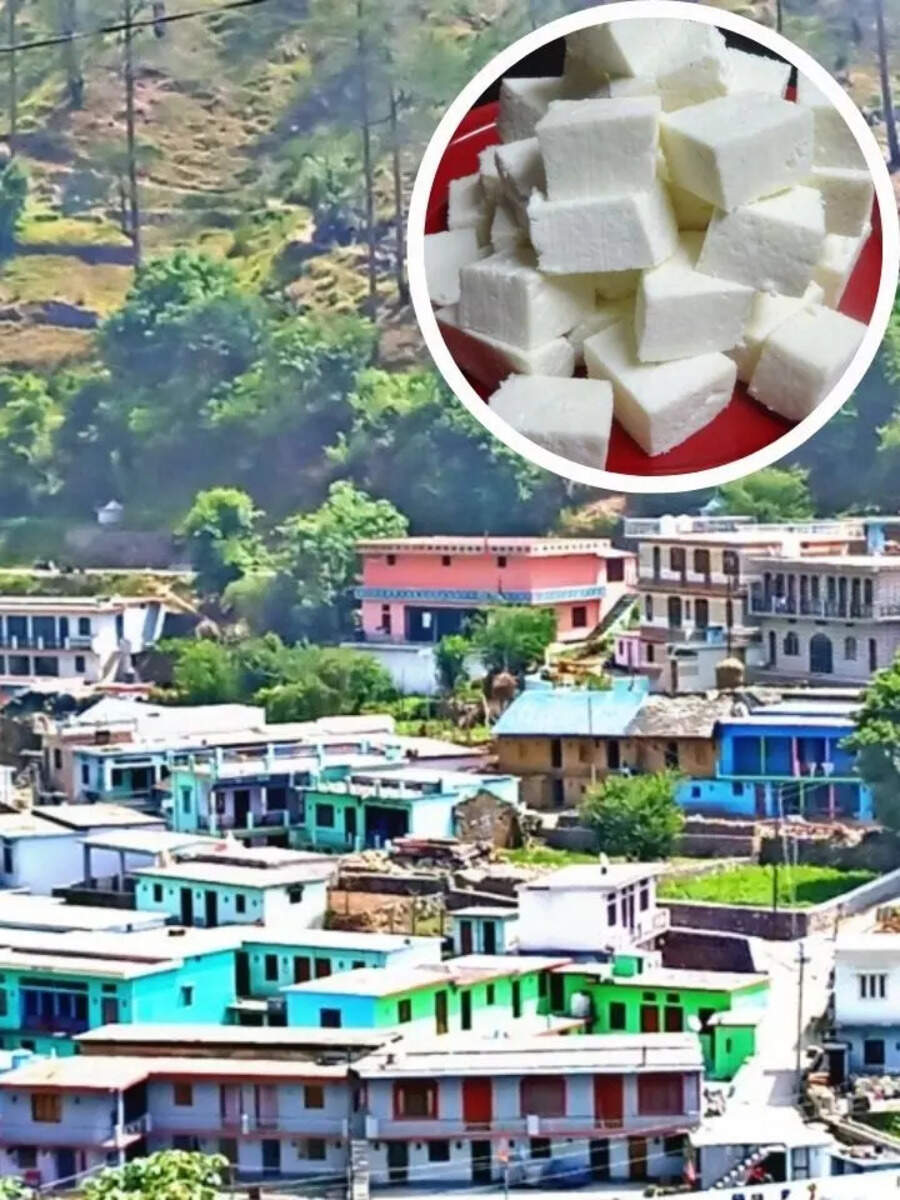 Uttarakhand Paneer Village, Rautu Ki Bailey Paneer Village, Rautu Ki ...