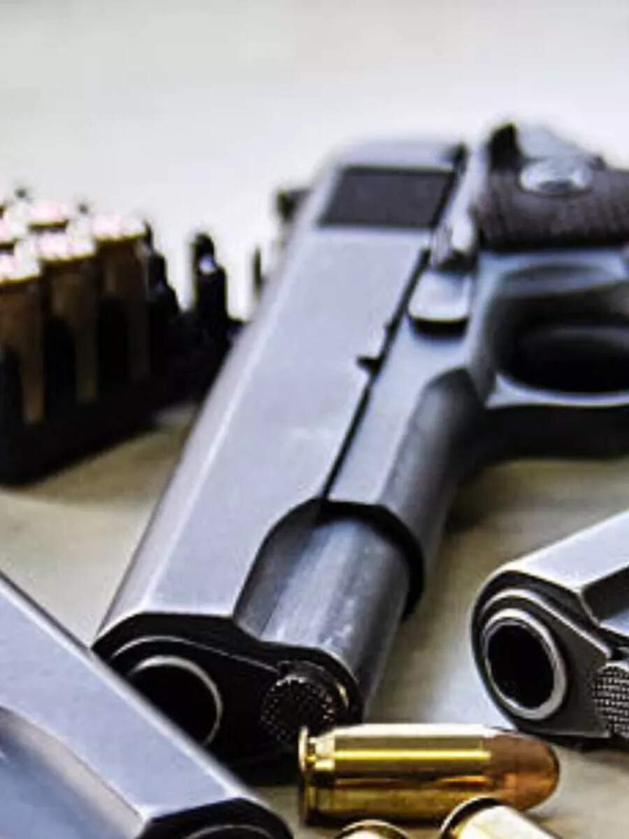 How to Apply for gun license in India know the process | Times Now ...