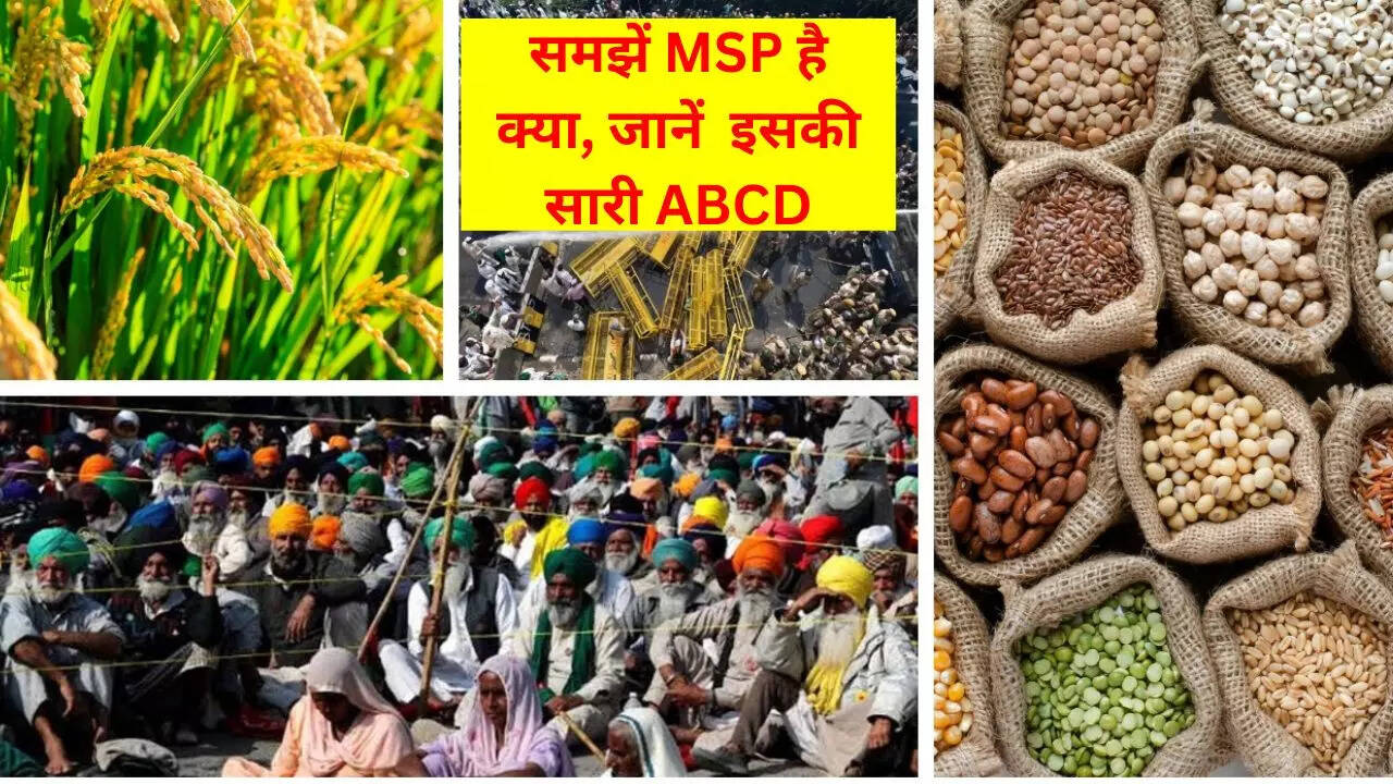 MSP: क्या होता है एमएसपी, किन फसलों पर होता है लागू, कौन करता है ...