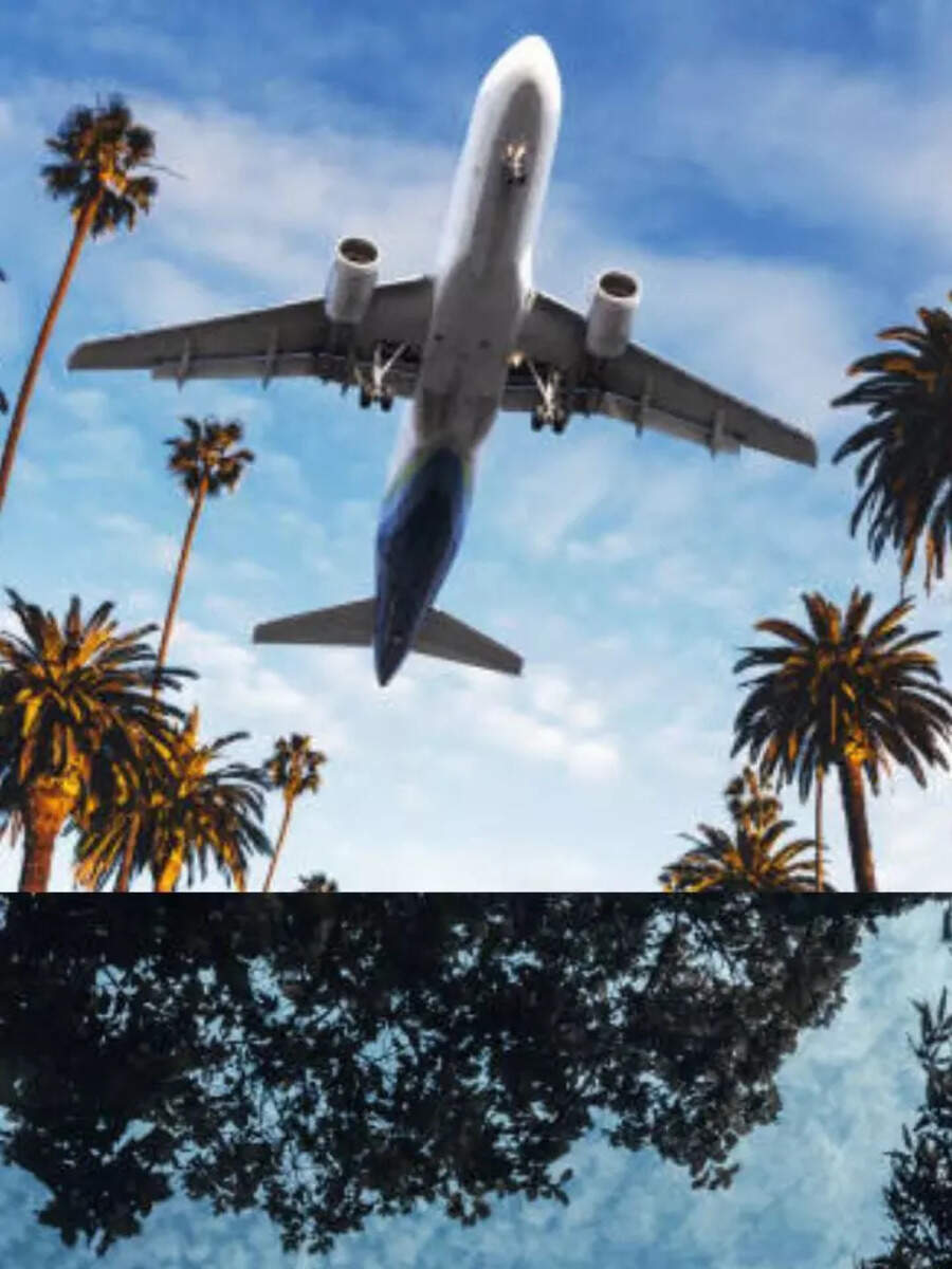 plane fly over Bermuda triangle the most mysterious place in the world ...