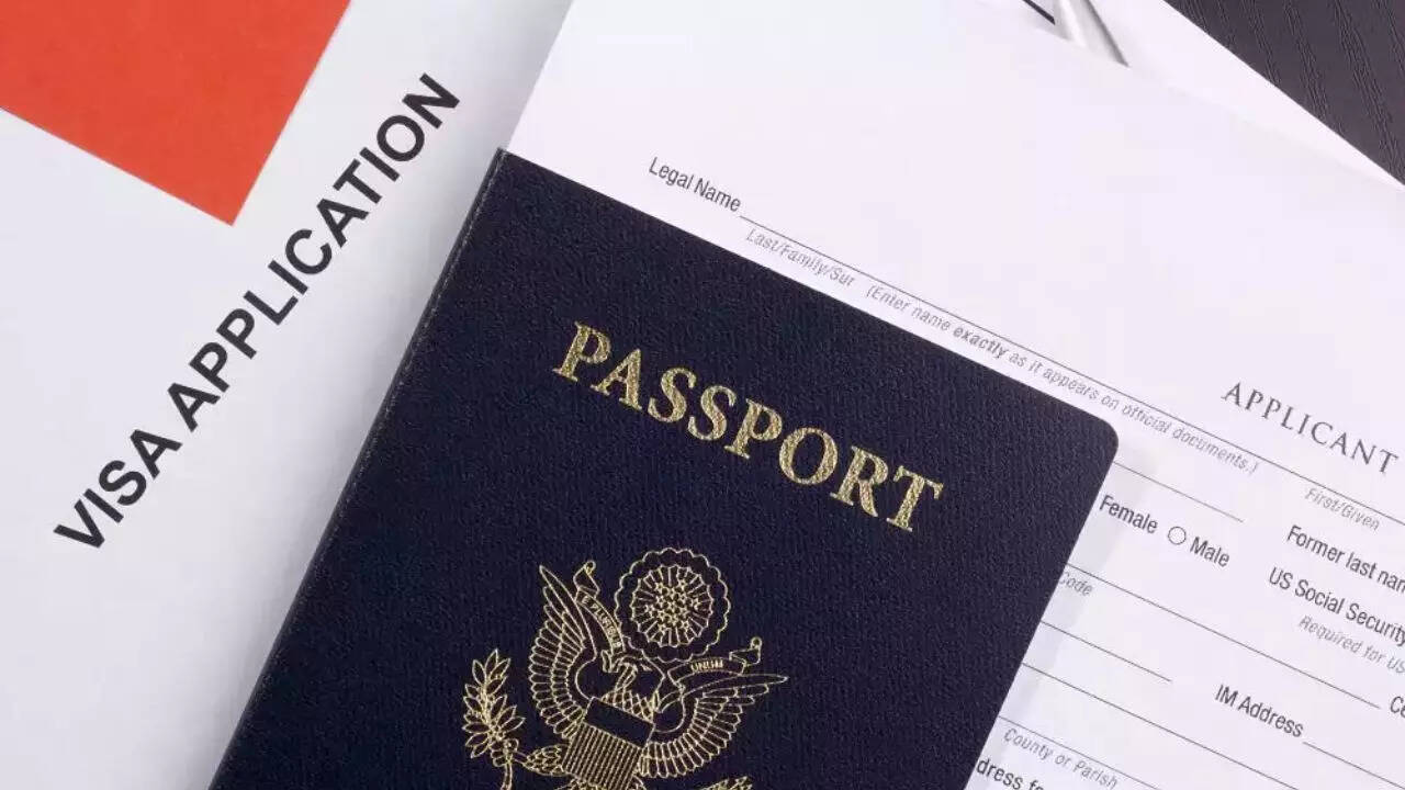 Passport Processing Time And How To Apply Online | Times Now Navbharat
