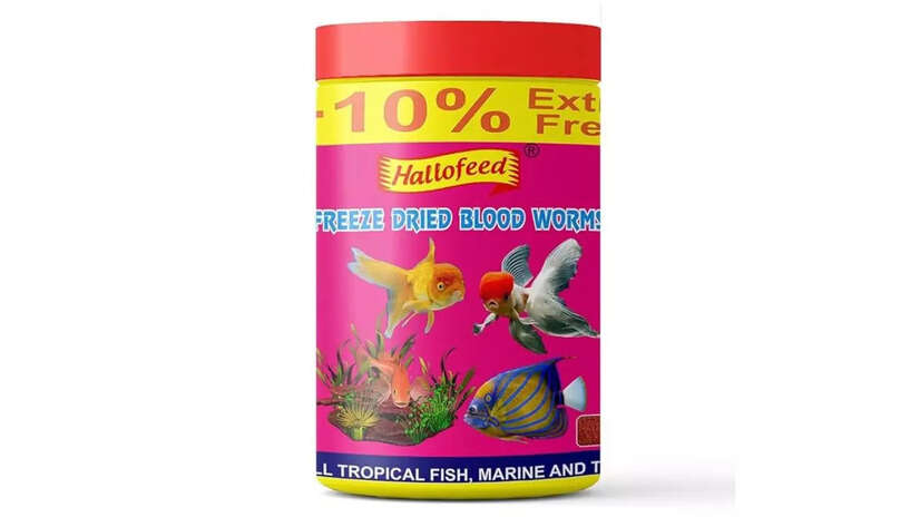 Best Fish Foods for Your Aquarium to Keep Your Fish Happy and Healthy