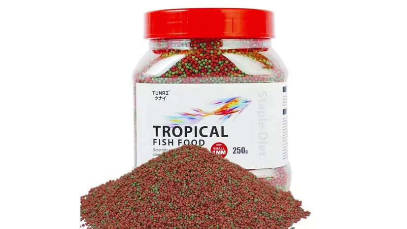 Best Fish Foods for Your Aquarium to Keep Your Fish Happy and Healthy