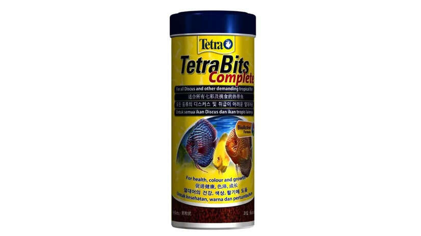 Best Fish Foods for Your Aquarium to Keep Your Fish Happy and Healthy